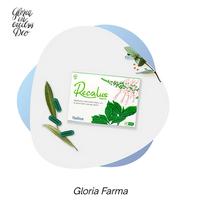 Jual Batu Landak Terbaik - Harga Murah Juni 2024 & Cicil 0%