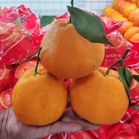 Jual Jeruk 1kg Murah - Harga Terbaru 2024