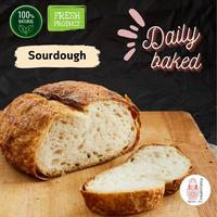 Jual Sourdough Bread Terdekat - Harga Murah & Grosir Mei 2024