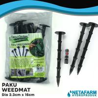 Jual Paku 10 Cm Terbaik - Harga Murah Mei 2025 & Cicil 0%