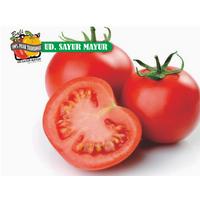 Toko UD Sayur Mayur Bali Online - Produk Lengkap & Harga Terbaik ...