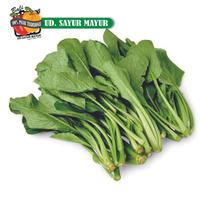 Toko UD Sayur Mayur Bali Online - Produk Lengkap & Harga Terbaik ...