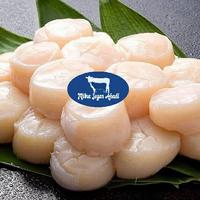 Jual Scallop Terdekat - Harga Murah & Grosir Juni 2024