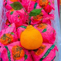 Jual Jeruk 1kg Murah - Harga Terbaru 2024