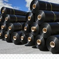 Jual Terpal Hdpe Terbaik - Harga Murah Februari 2025 & Cicil 0%