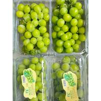 Jual Anggur Shine Muscat Terdekat - Harga Murah & Grosir Juni 2024