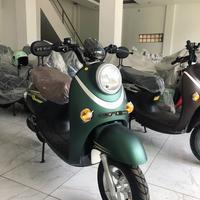 Review Sepeda Motor Listrik Greentech Subsidi | Tokopedia