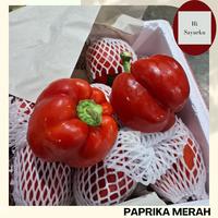 Paprika Harga Termurah & Grosir Mei 2024 - Tokopedia