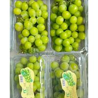Jual Anggur Muscat Terdekat - Harga Murah & Grosir Juni 2024