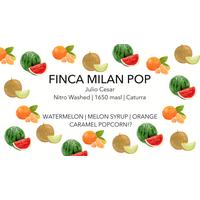 Toko hana roastery Online - Produk Lengkap & Harga Terbaik | Tokopedia