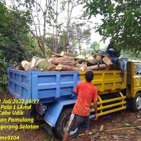 Jual Angkut Puing Murah - Harga Terbaru 2024