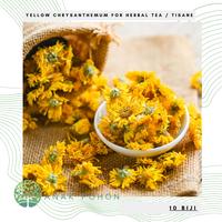 Review Benih Bibit Biji - Bunga Yellow Chrysanthemum Flower Traditional ...
