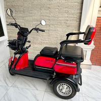 Sepeda Listrik Roda 3 Desain Terkini & Canggih Mei 2024