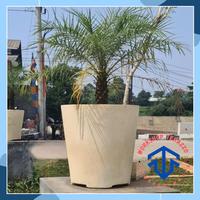 Jual Pot Tanaman Besar Terbaik - Harga Murah Juni 2024 & Cicil 0%