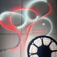Review Lampu Selang LED Merah Putih Led Rope Light IP67 2835 Bendera ...