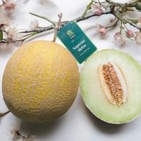 Melon Harga Termurah & Grosir - Pilihan Terlengkap