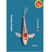 Jual Koi Slayer Terlengkap & Terbaik - Harga Murah Juni 2024