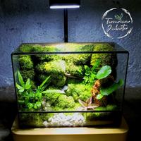 Jual Terrarium Terlengkap & Terbaik - Harga Murah Mei 2025