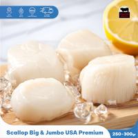 Jual Scallop Terdekat - Harga Murah & Grosir Maret 2025
