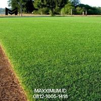 Rumput Jepang Harga Terbaru - Pilihan Terlengkap
