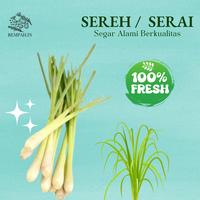 Jual Sereh Segar Terdekat - Harga Murah & Grosir April 2025