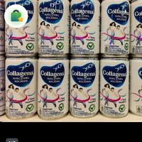 Jual Susu Collagena Murah - Harga Terbaru Februari 2025