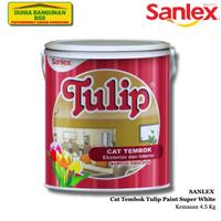 Jual Cat Sanlex Terbaik - Harga Murah Februari 2025 & Cicil 0%