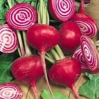 Buah Bit Harga Termurah & Grosir - Pilihan Terlengkap