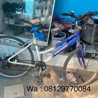 Jual Sepeda Bekas Kualitas Terbaik - Harga Murah Februari 2025