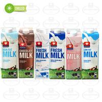 Jual Fresh Milk Diamond Terdekat - Harga Murah & Grosir Maret 2025