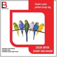 Jual Parkit Lokal Lengkap Harga Murah Agustus 2025