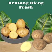 Jual Kentang 1Kg Terdekat - Harga Murah & Grosir Oktober 2025