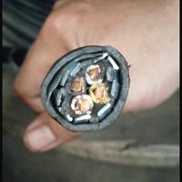 Jual Kabel Feeder Terlengkap - Harga Murah Mei 2025 & Cicil 0%