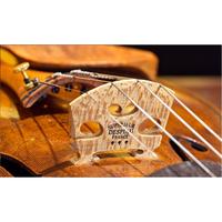 Jual Violin Terlengkap - Harga Murah Januari 2026