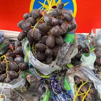 Jual Anggur Autumn Terdekat - Harga Murah & Grosir Juli 2025