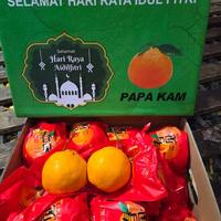 Jual Jeruk 1kg Murah - Harga Terbaru 2025