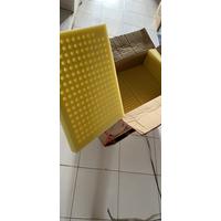 Jual Telur Walet Terlengkap & Terbaik - Harga Murah Juni 2024