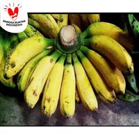 Pisang Raja Segar Berkualitas, Harga Termurah! Juni 2024