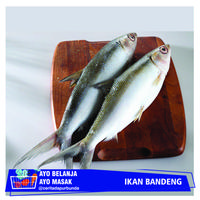 Jual Ikan Bandeng Segar Terdekat - Harga Murah & Grosir Januari 2024