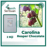 Jual Cabe Carolina Reaper Terdekat - Harga Murah & Grosir Desember 2022