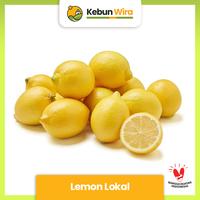 Jual Lemon Lokal Terdekat - Harga Murah & Grosir Mei 2024