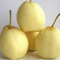 Jual Pear Madu Terdekat - Harga Murah & Grosir Mei 2025