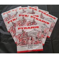 Jual Senar Gitar Akustik Pyramid Terlengkap - Harga Murah Maret 2024