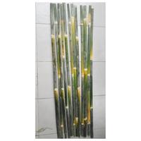 Jual Bambu Batangan Terbaik - Harga Murah November 2024 & Cicil 0%