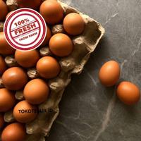 Jual Telor 1 Kg Terdekat - Harga Murah & Grosir Desember 2024