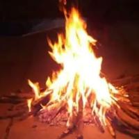 Jual Kayu Bakar Api Unggun Terlengkap - Daftar Harga Mei 2024 & Cicilan 0%
