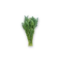 Jual Daun Dill Terdekat - Harga Murah & Grosir April 2024