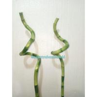 Jual Bambu Batangan Terbaik - Harga Murah November 2024 & Cicil 0%