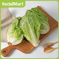 Jual Lettuce Terdekat - Harga Murah & Grosir Maret 2025
