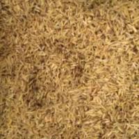 Jual Sekam Padi Terbaik - Harga Murah Maret 2025 & Cicil 0%